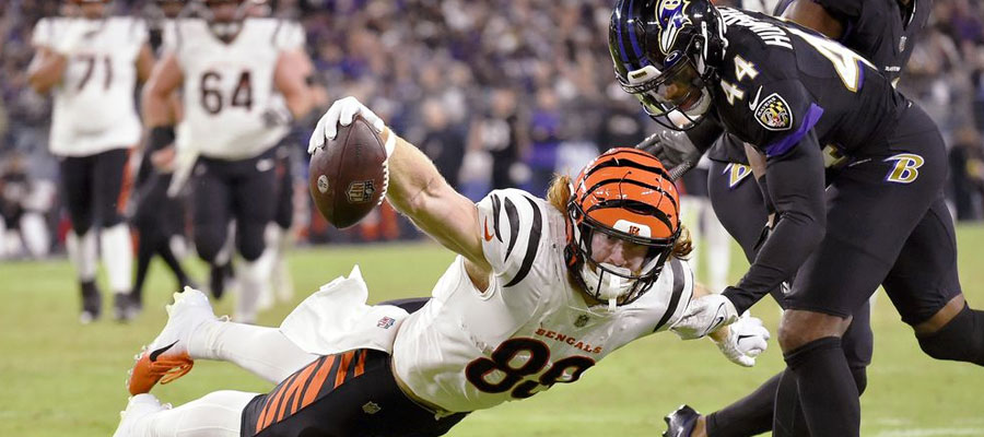 NFL Betting Lines 2023: Division Odds to Win AFC North - Xbet.ag